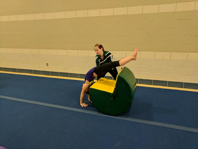 Photo Gallery - Little Stars Gymnastics