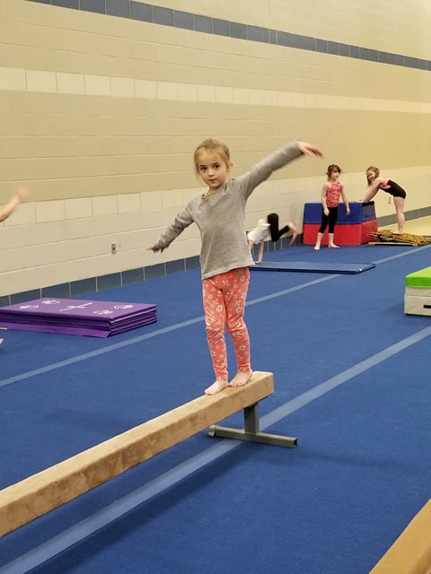 Photo Gallery - Little Stars Gymnastics
