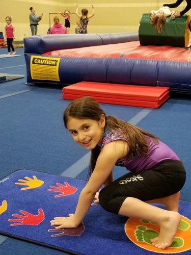 Home - Little Stars Gymnastics
