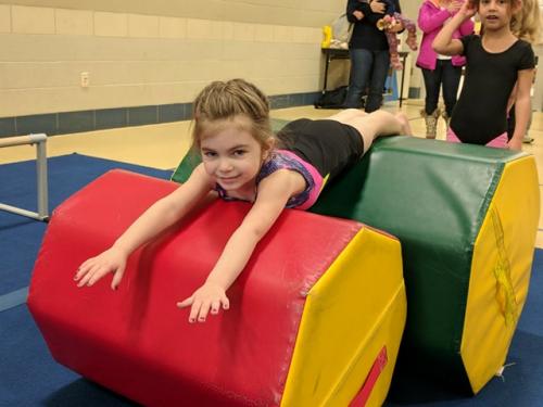 Home - Little Stars Gymnastics